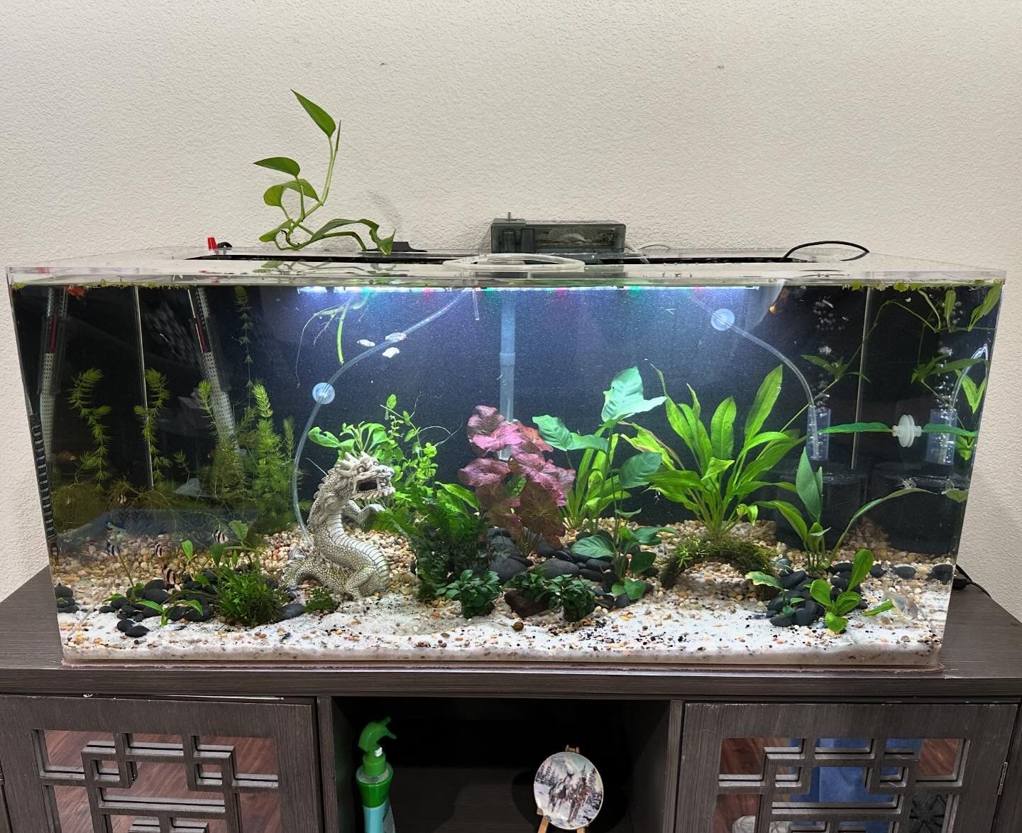 Aquarium Supplies | Maryland/Surrounding Areas | 240-815-6532