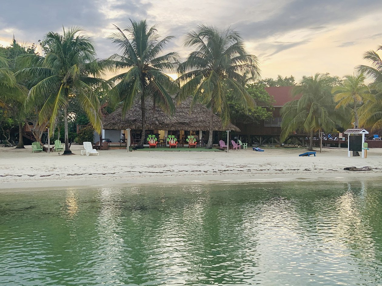 Green Parrot Belize | Home