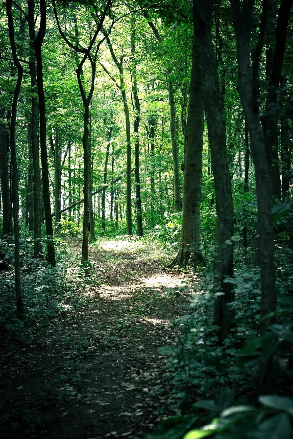 Discover a Scenic Getaway at the Graystone Ranch