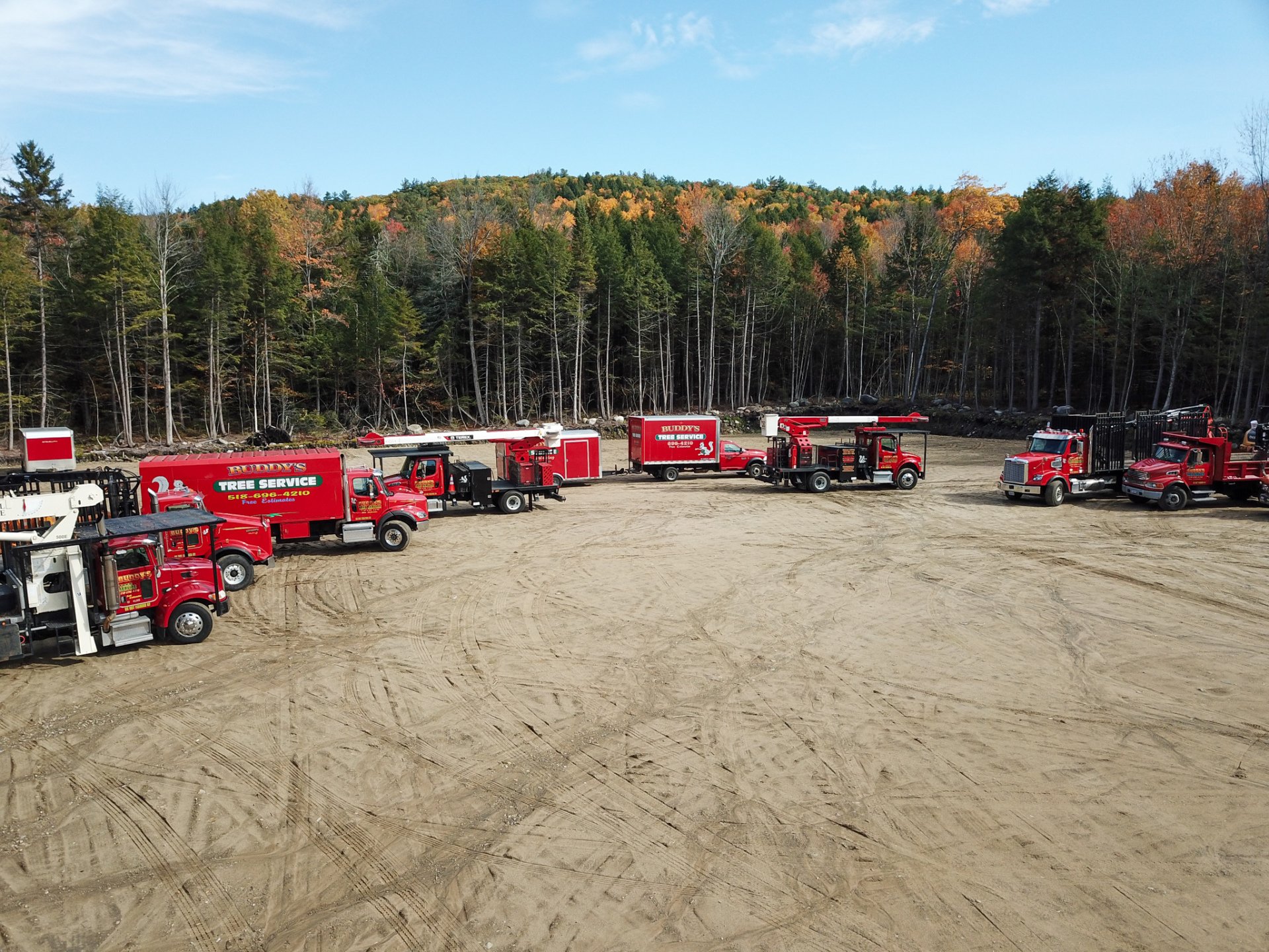 Gallery | Hadley, NY | Buddy’s Tree Service