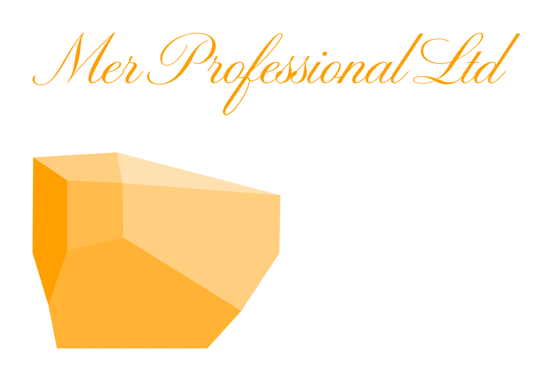 MANAGEMENT CONSULTING | MER Professional Ltd