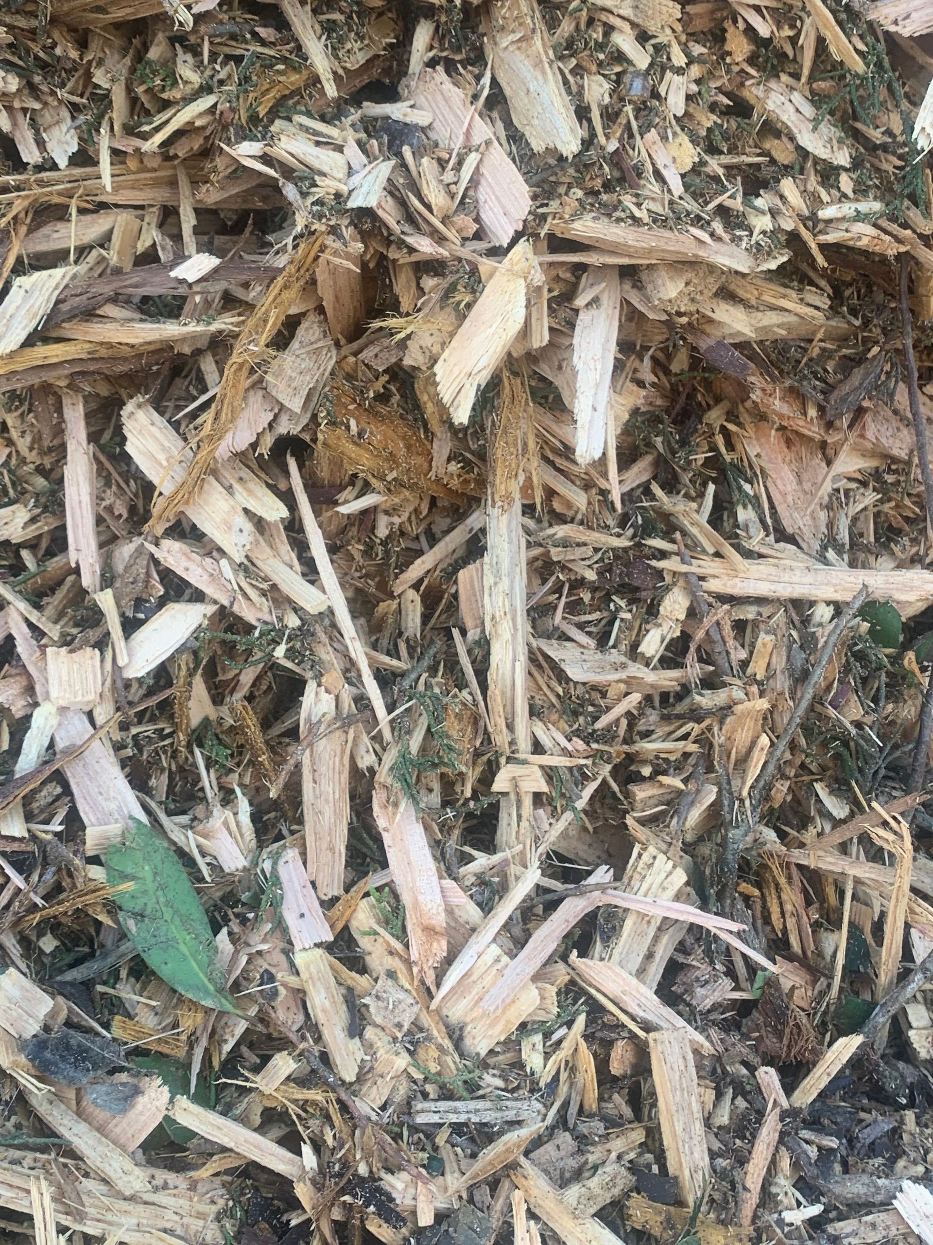 Mulch on the Central Coast | Frost 4 Sands