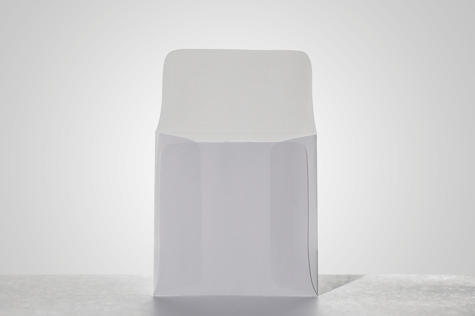 Blank Single Vision, Non-Expandable Envelopes | Global Shipping