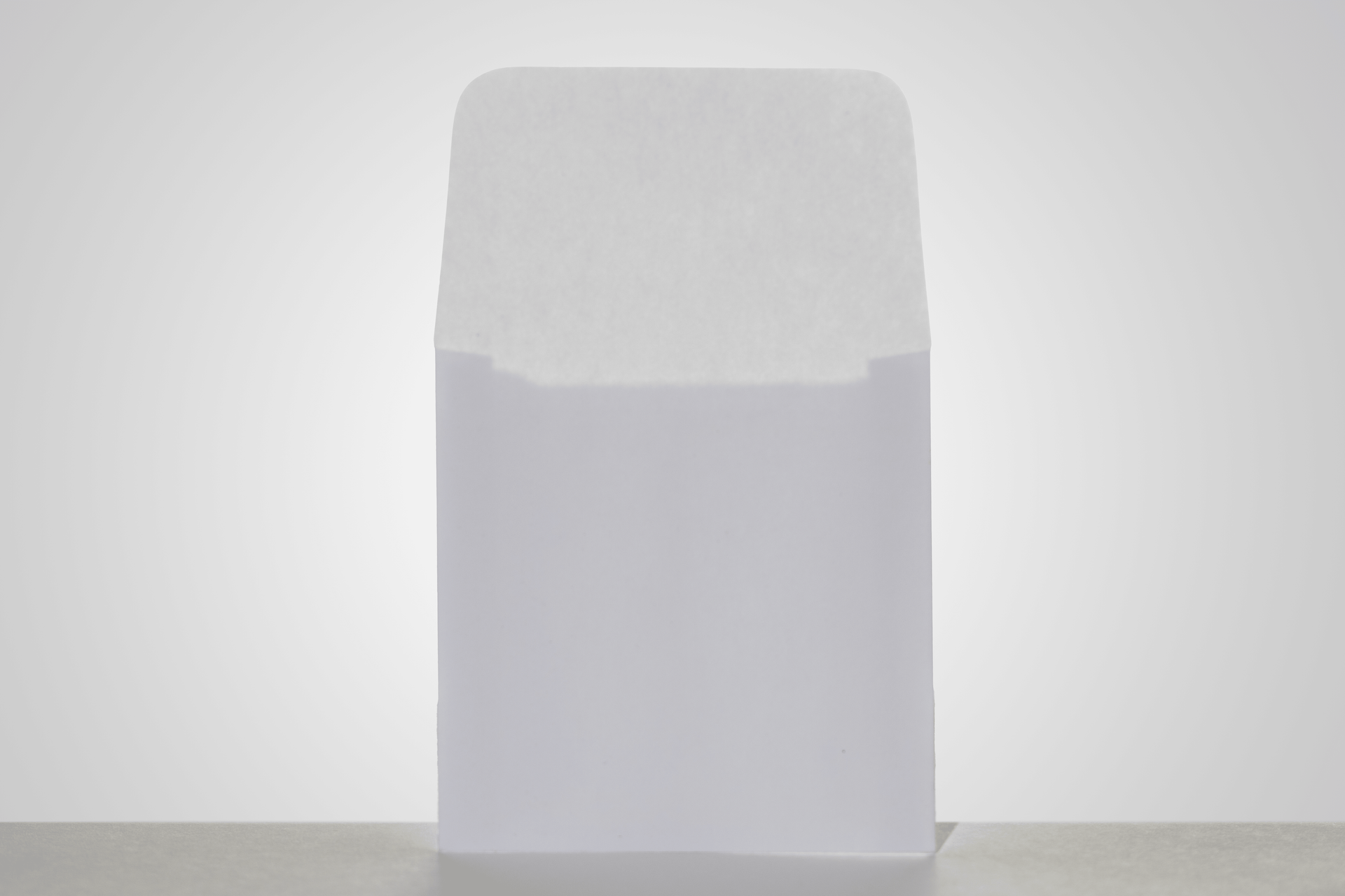 Blank Single Vision, Non-Expandable Envelopes | Global Shipping