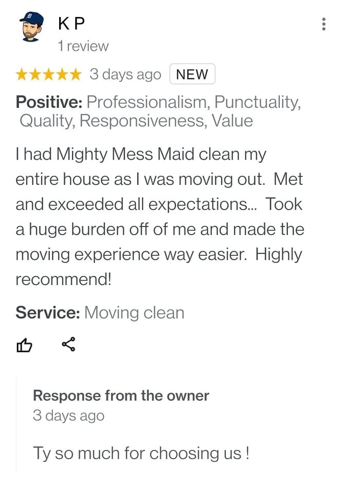 Mighty Mess Maid