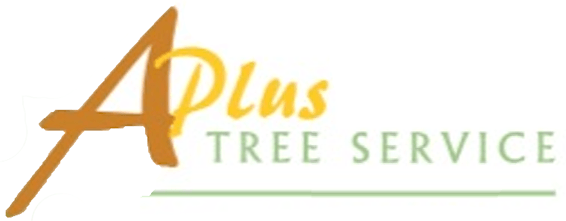 Home [www.aplus-treeservice.com]