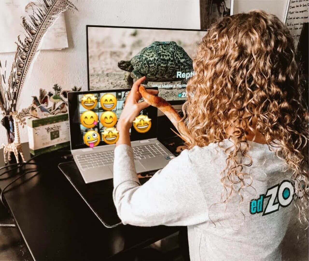 Live Zoology Classes | Zoom With a Zoologist