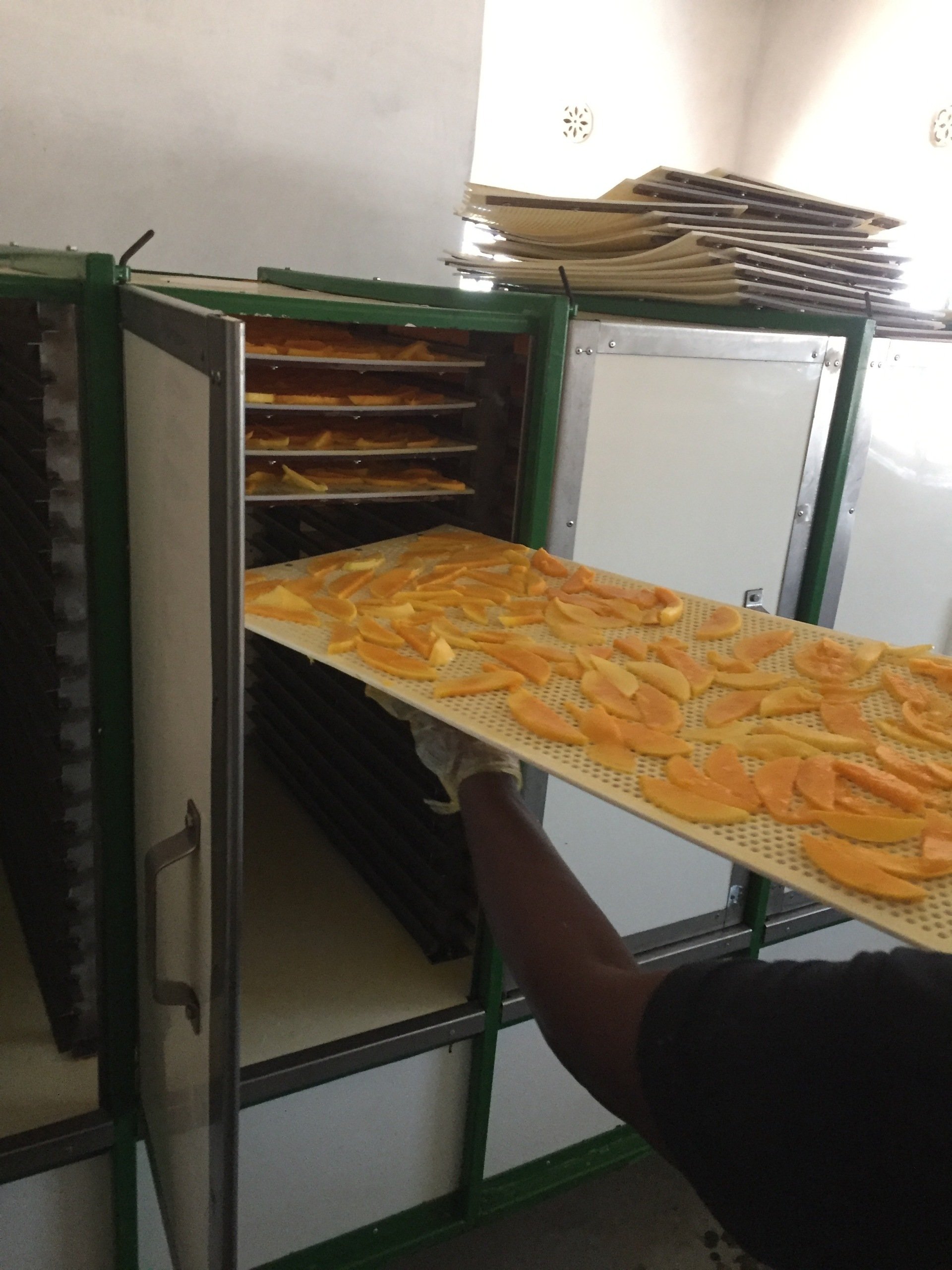 Village Industrial Power | Crop Drying