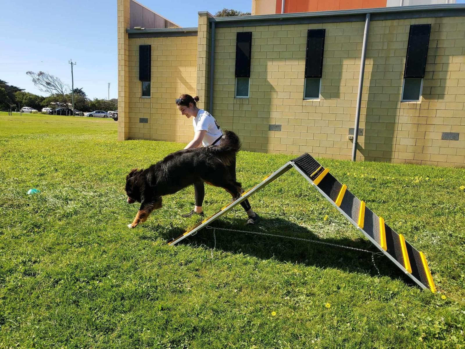 Ocean Edge Dog Training | Science-Based Dog Training