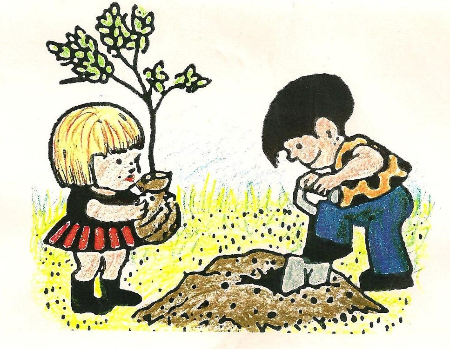 Trees, Plants & More – Concord, NC – Christy’s Nursery