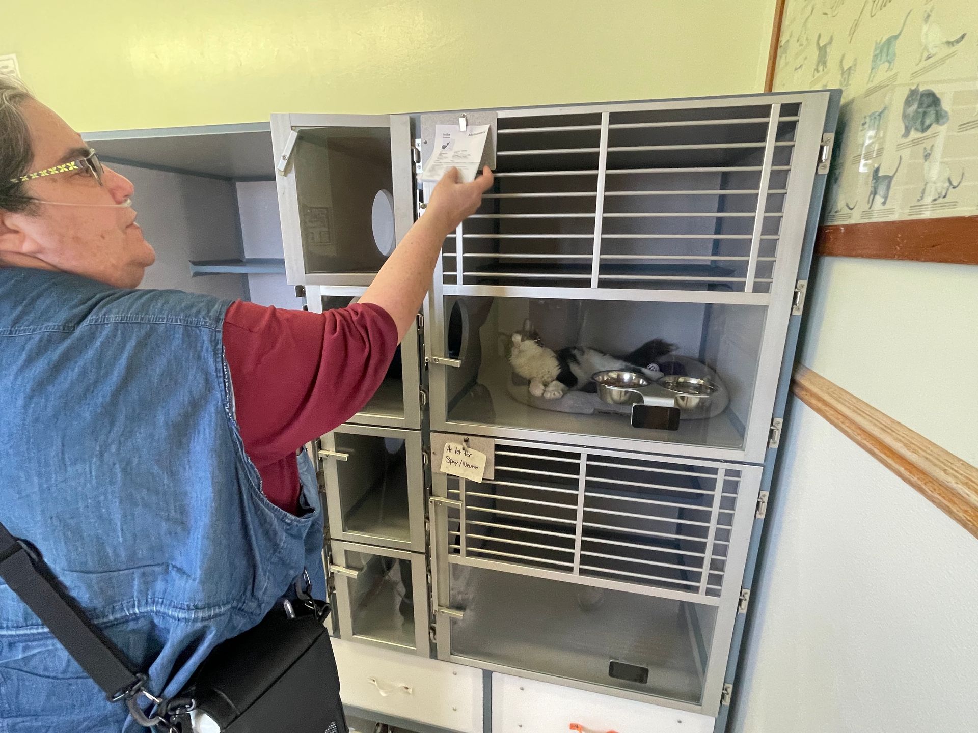 Humane Society Serving Community - and Cats - with New Cages