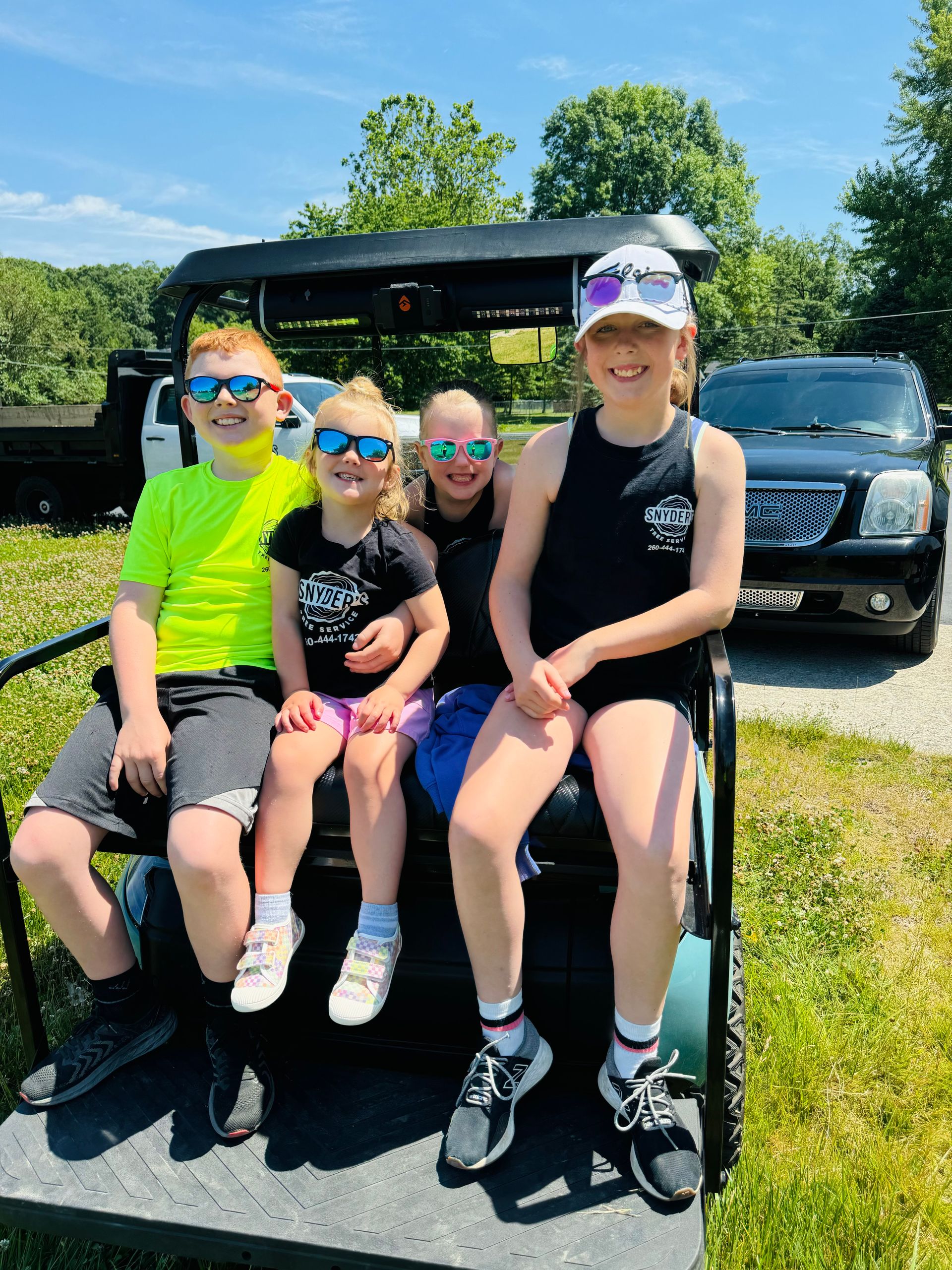 Tree Service in Fort Wayne, IN