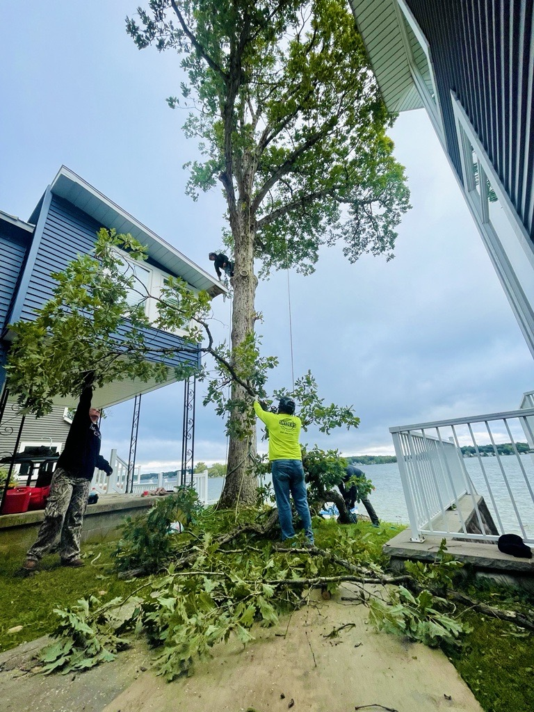 Tree Service in Fort Wayne, IN