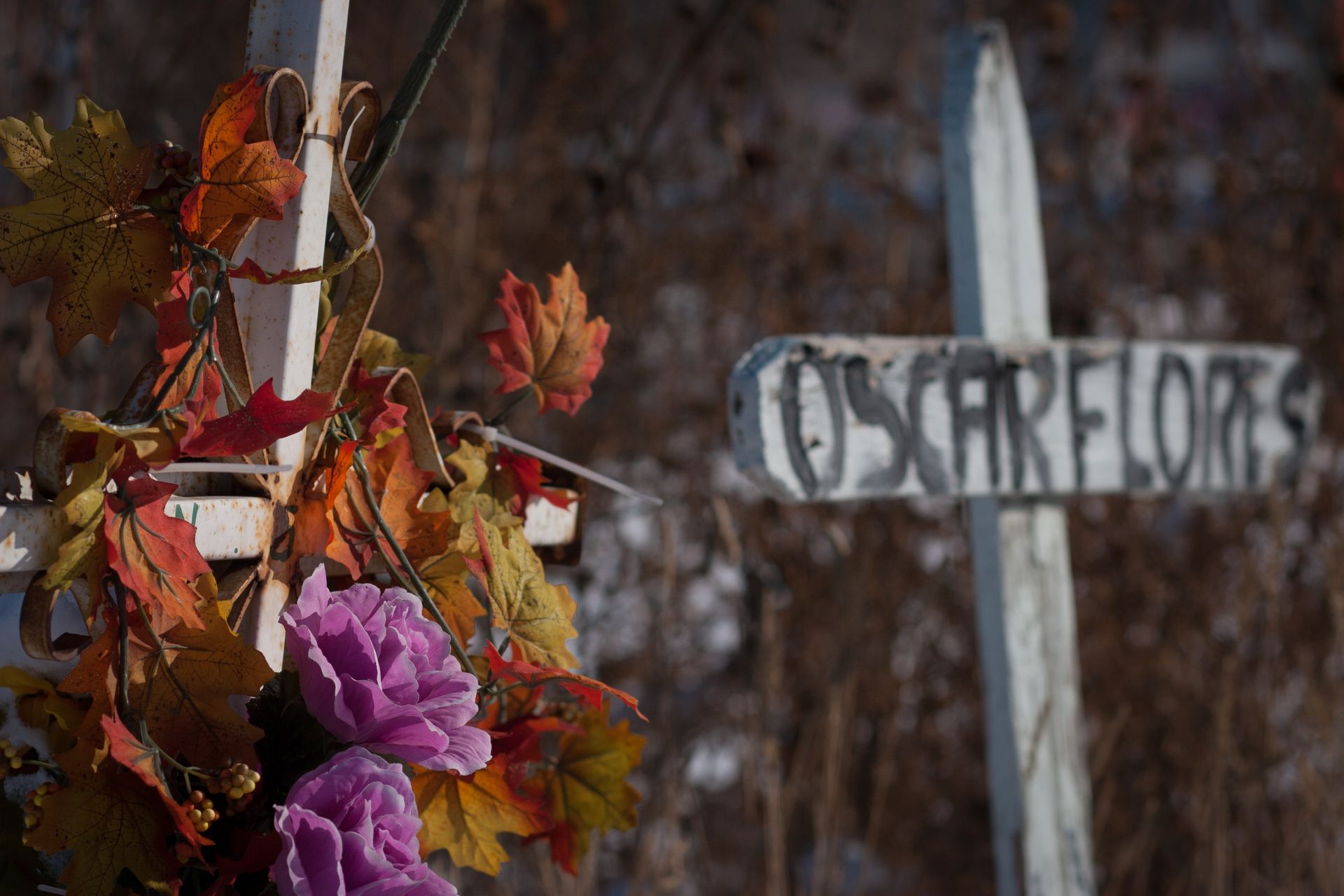 Photography Project - Celebrate Memories