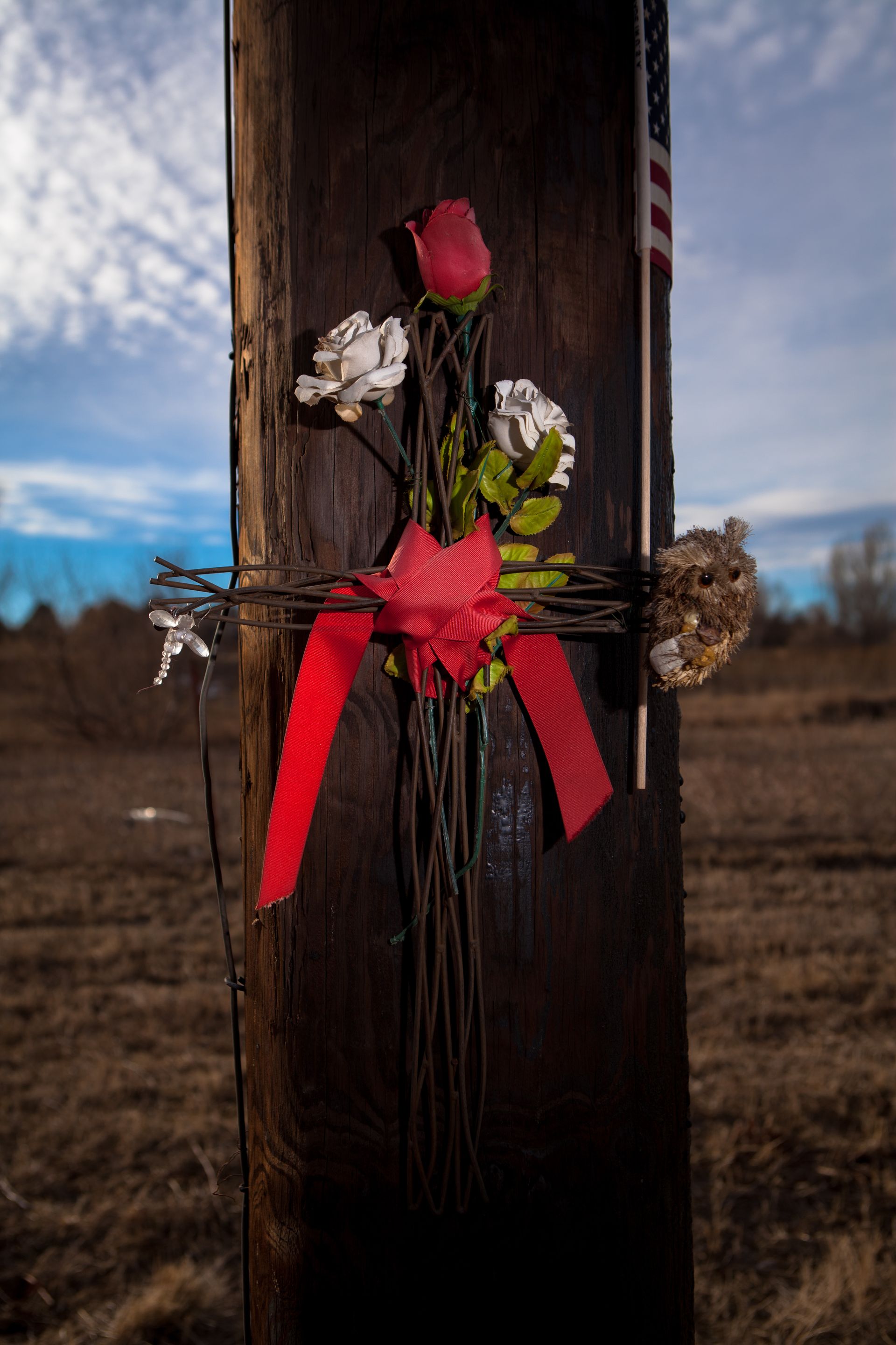 Photography Project - Celebrate Memories