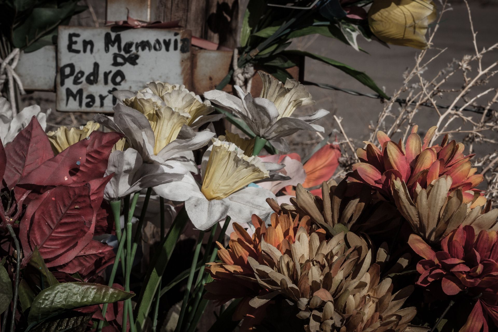 Photography Project - Celebrate Memories