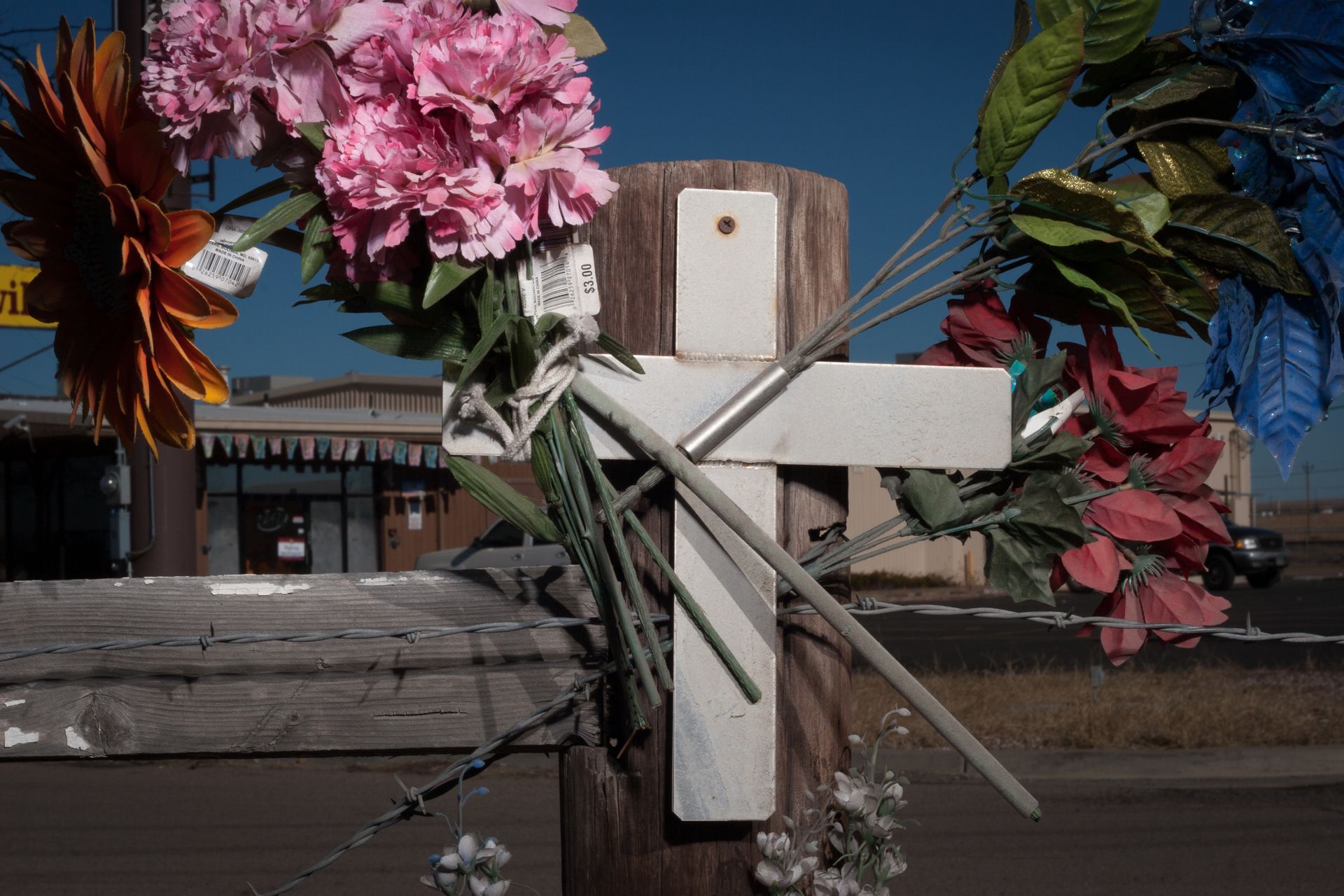 Photography Project - Celebrate Memories