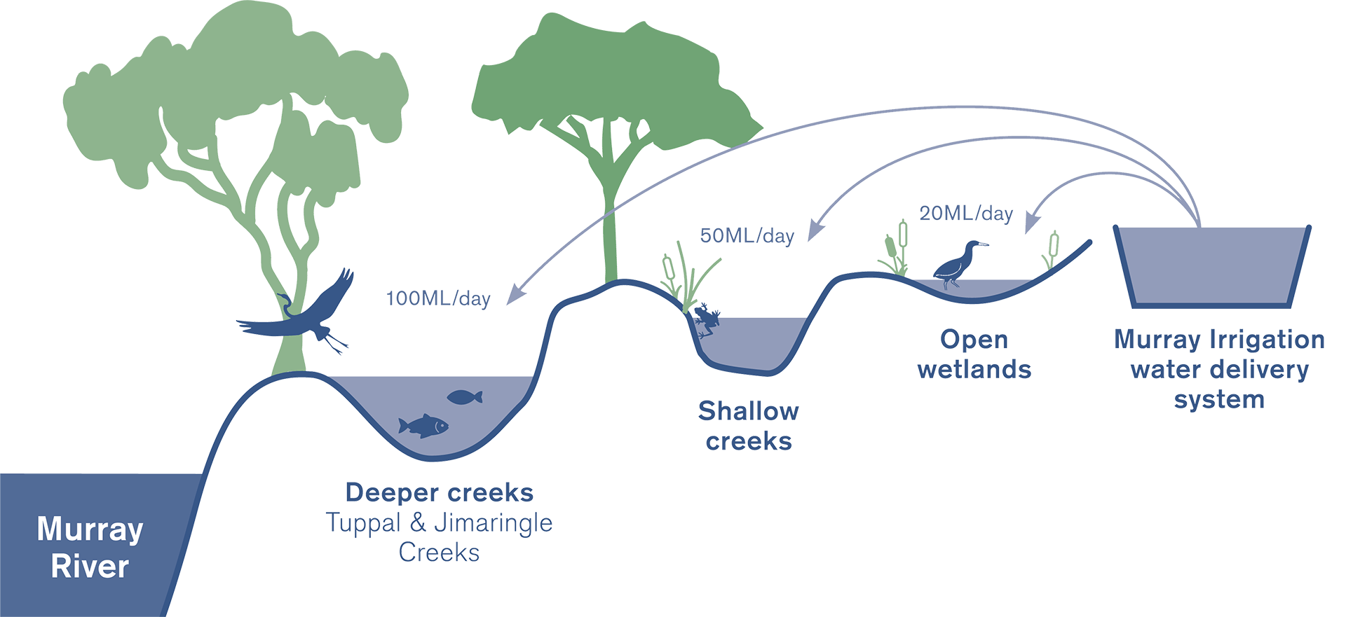 Restoring Murray Waterways - Murray Irrigation Project