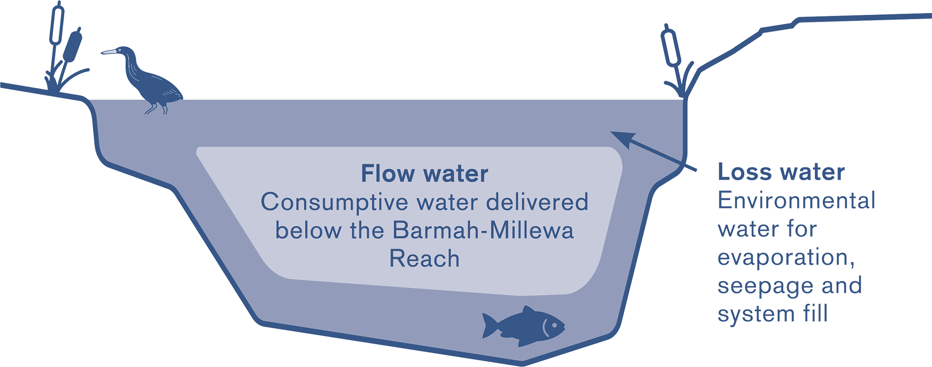 Restoring Murray Waterways - Murray Irrigation Project