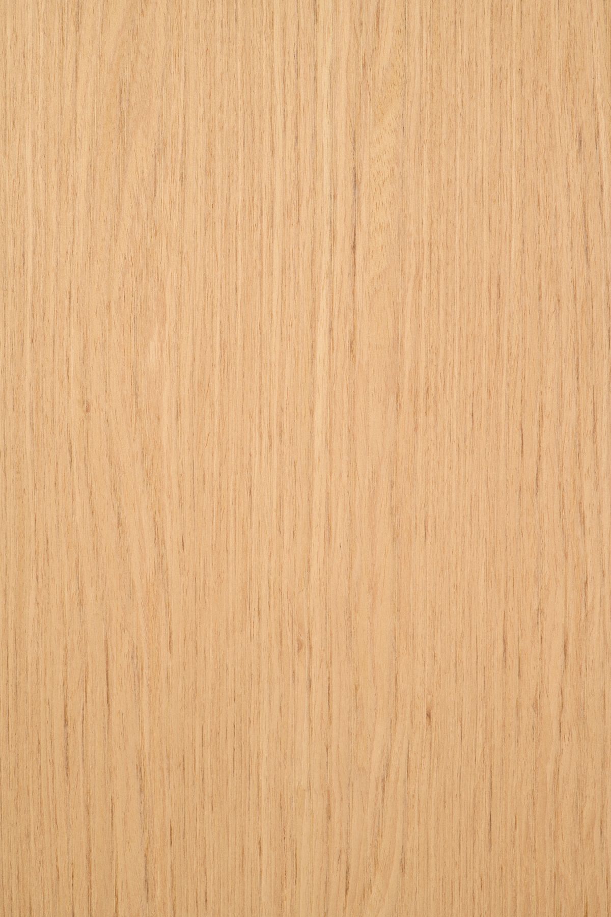 Træpanel i dansk kvalitet | Perforeret træpanel