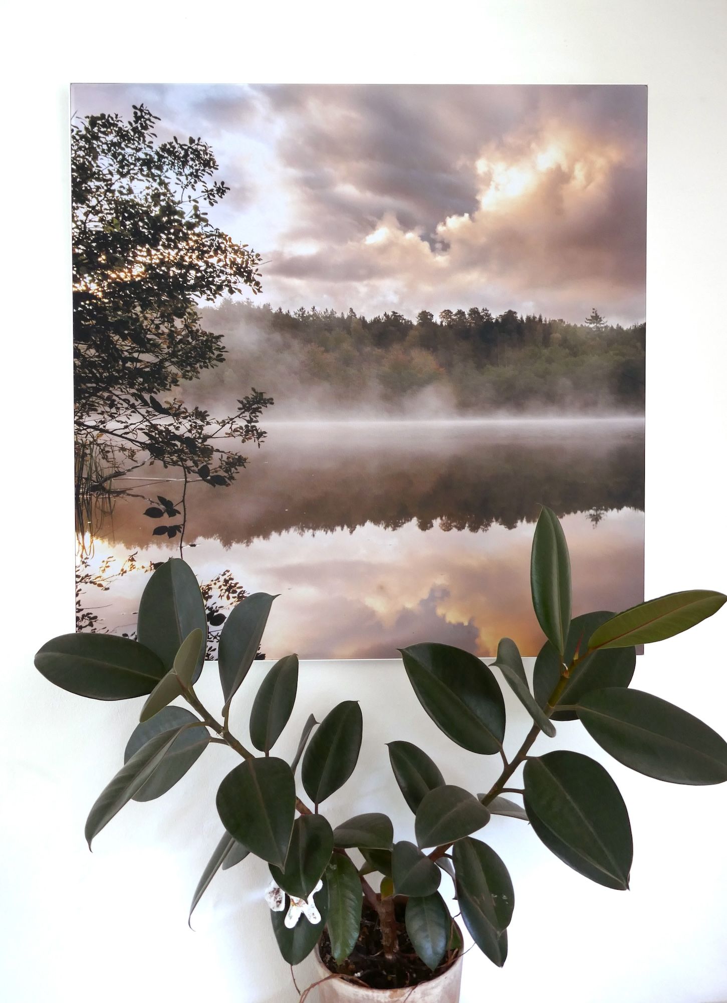 Akustisk dæmpning med akustikbilleder | Stilrent design og dansk produceret