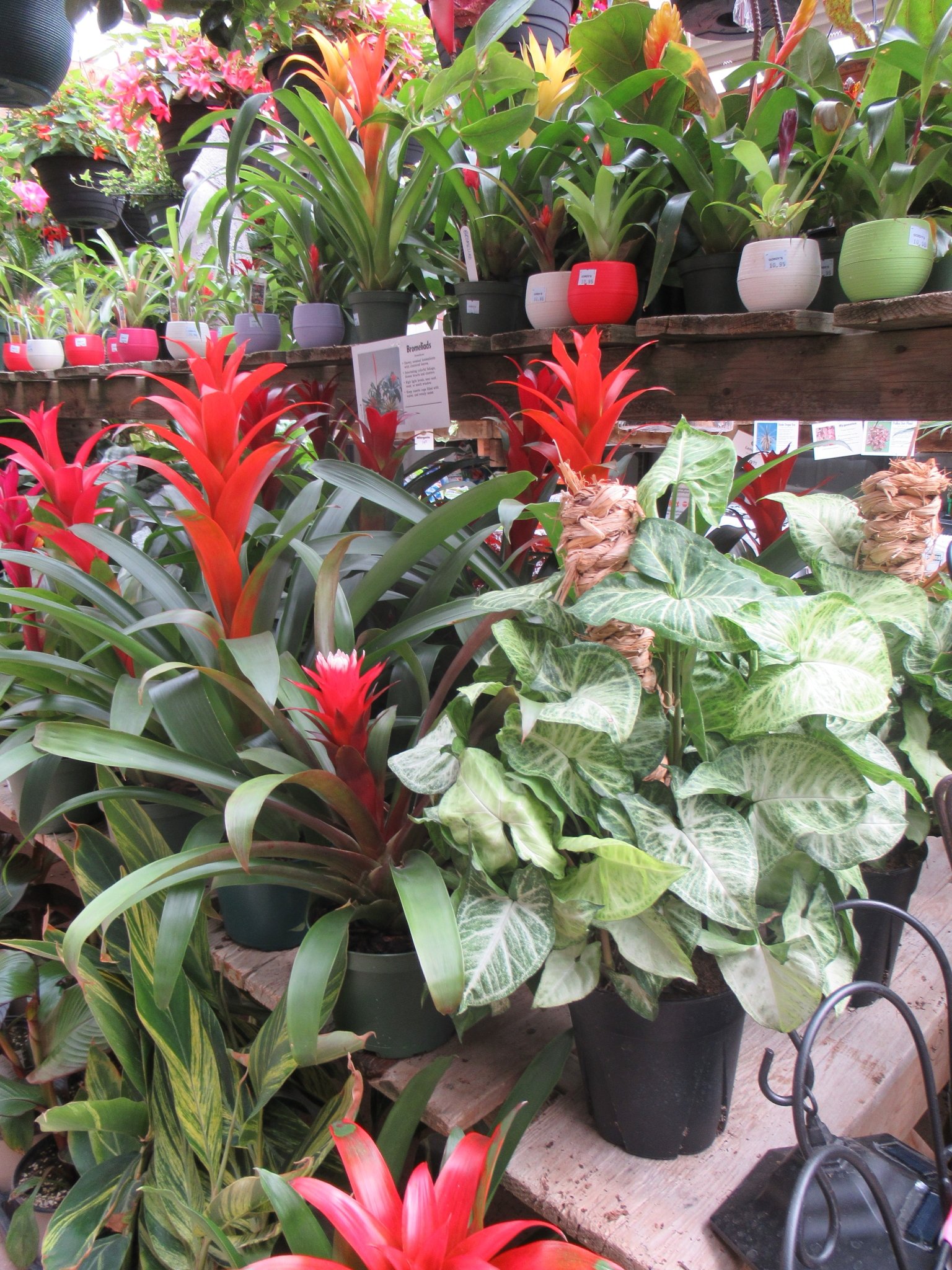 Duluth, MN | Gordy's Gift and Garden