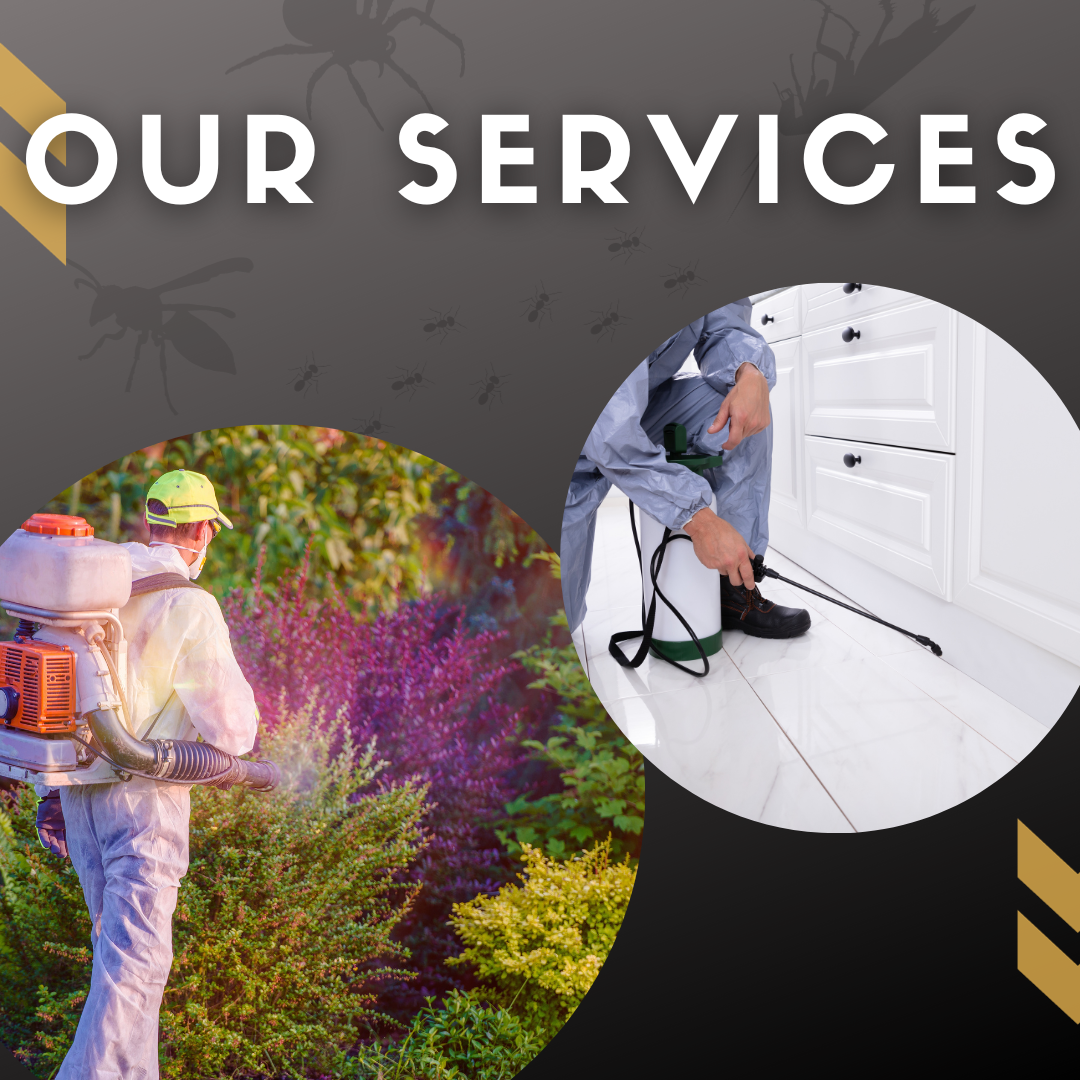 Exterminator | Romulus, Michigan | Down River Pest Control