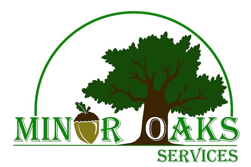 Minor Oaks Tree Services : Tree & hedge services