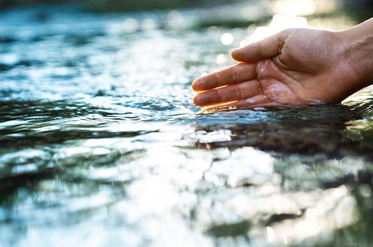 Green Goodbye - Serving NC, VA, WV & OH