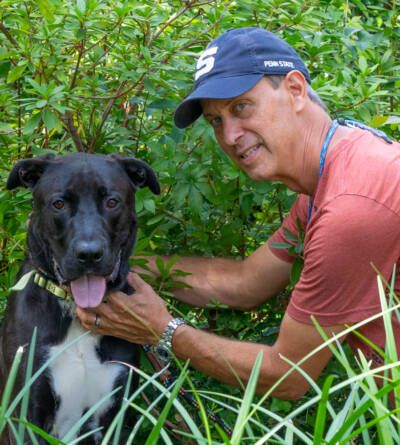 Jin Shin Jyutsu for Animals | Global