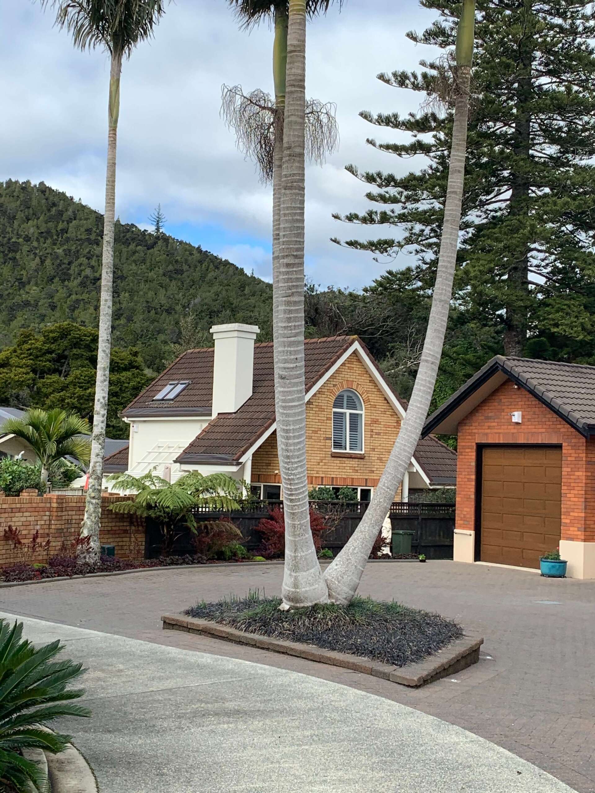 Visual Architectural Designs by Lee Johnstone, Christchurch