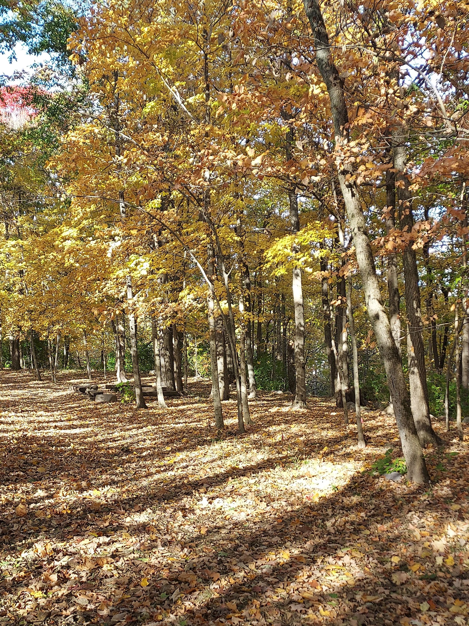 Conservational Green Burial | Preble Memory Gardens Funeral Center