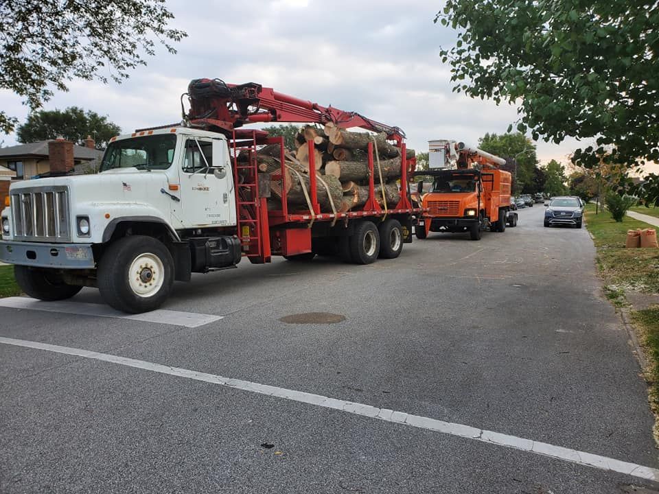 Tree Care | Hammond, IN | Howard’s Tree Service