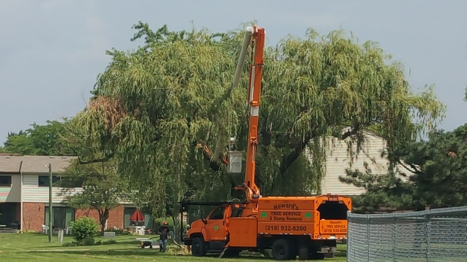 Tree Care | Hammond, IN | Howard’s Tree Service