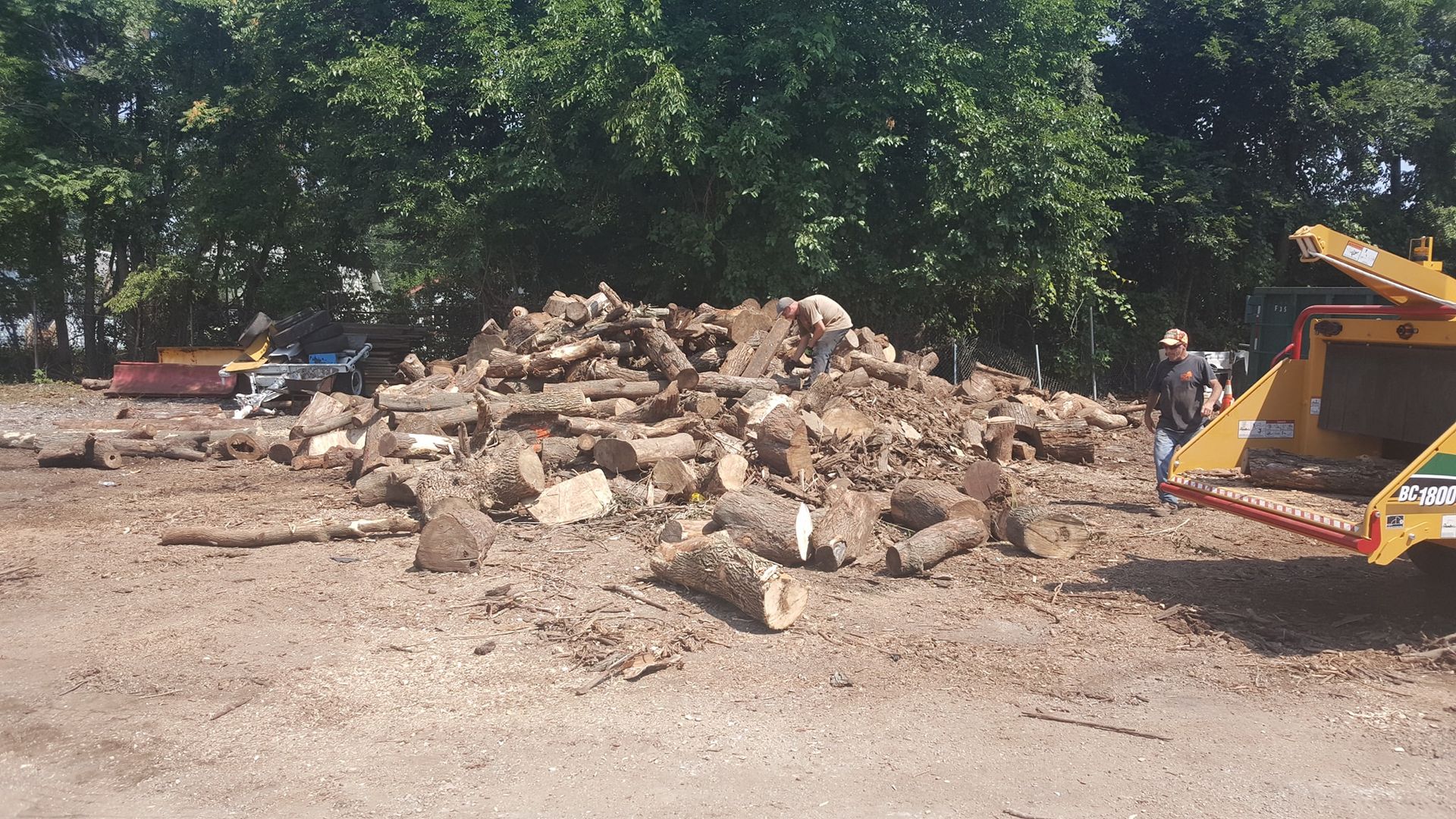 Tree Care | Hammond, IN | Howard’s Tree Service