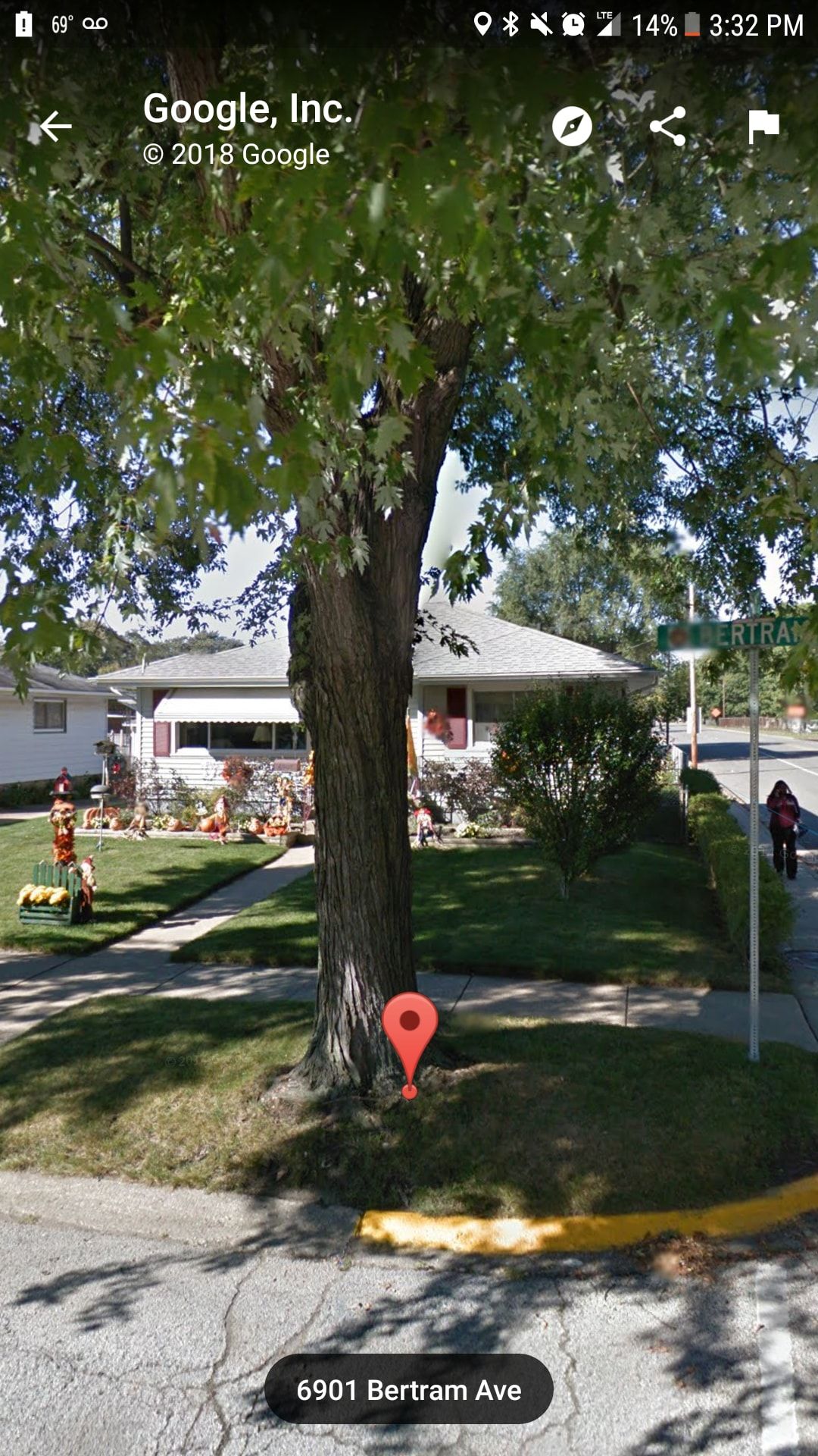 Tree Maintenance | Hammond, IN | Howard’s Tree Service