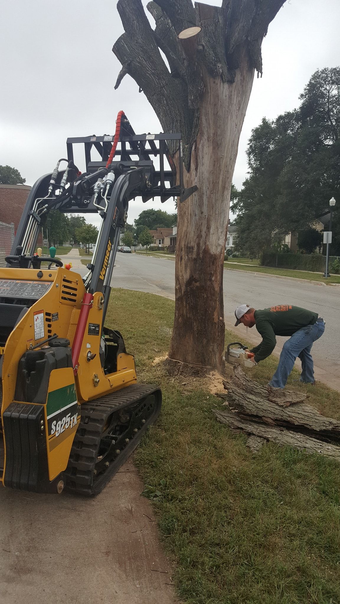 Tree Care | Hammond, IN | Howard’s Tree Service