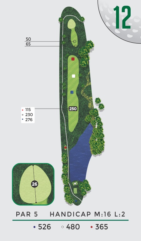 L.A. NICKELL BACK NINE HOLES