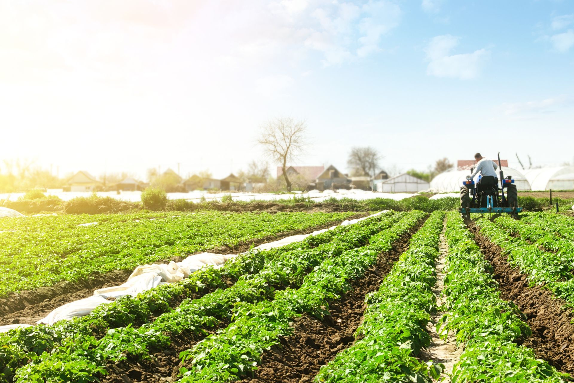 Row-Crop Farm Insurance (Request a Quote Online)