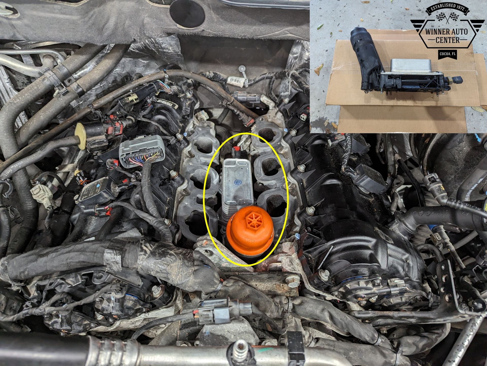 Winner Auto Center | Automotive Mechanics in Cocoa, FL