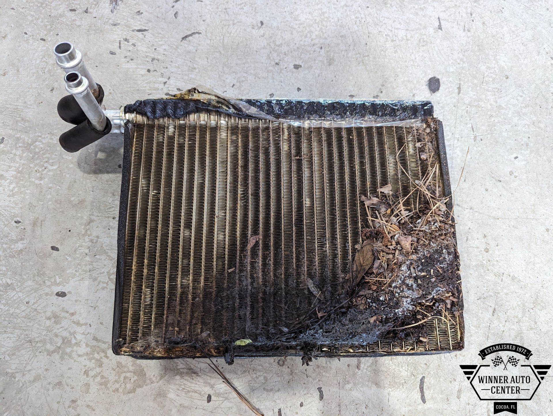 Winner Auto Center | Automotive Mechanics in Cocoa, FL