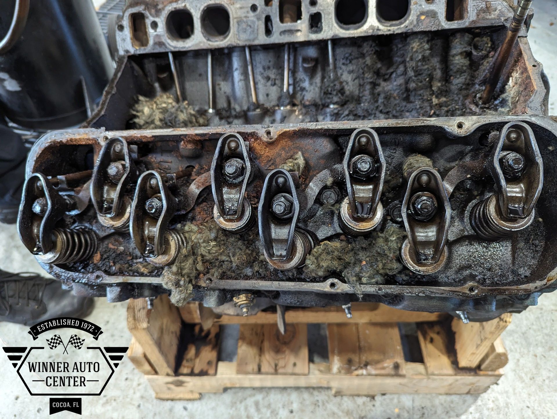 Winner Auto Center | Automotive Mechanics in Cocoa, FL