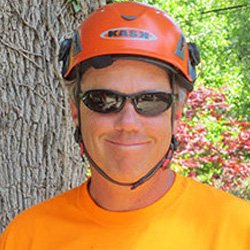 All Around Landscape & Tree Service | Tree Service in Fairport, NY