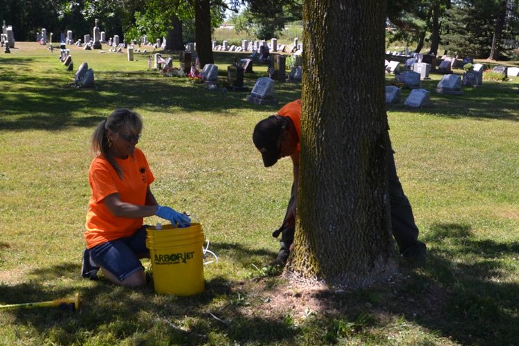 All Around Landscape & Tree Service | Tree Service in Fairport, NY