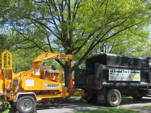 All Around Landscape & Tree Service | Tree Service in Fairport, NY
