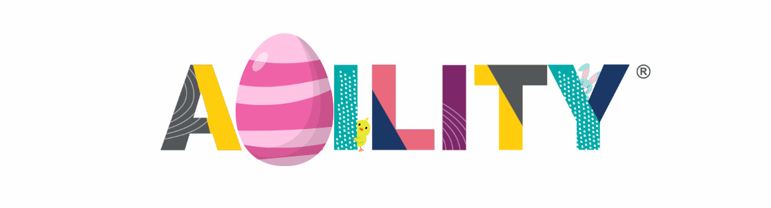 Agility | Indoor Fitness Park | Ninja Warrior | Parkour