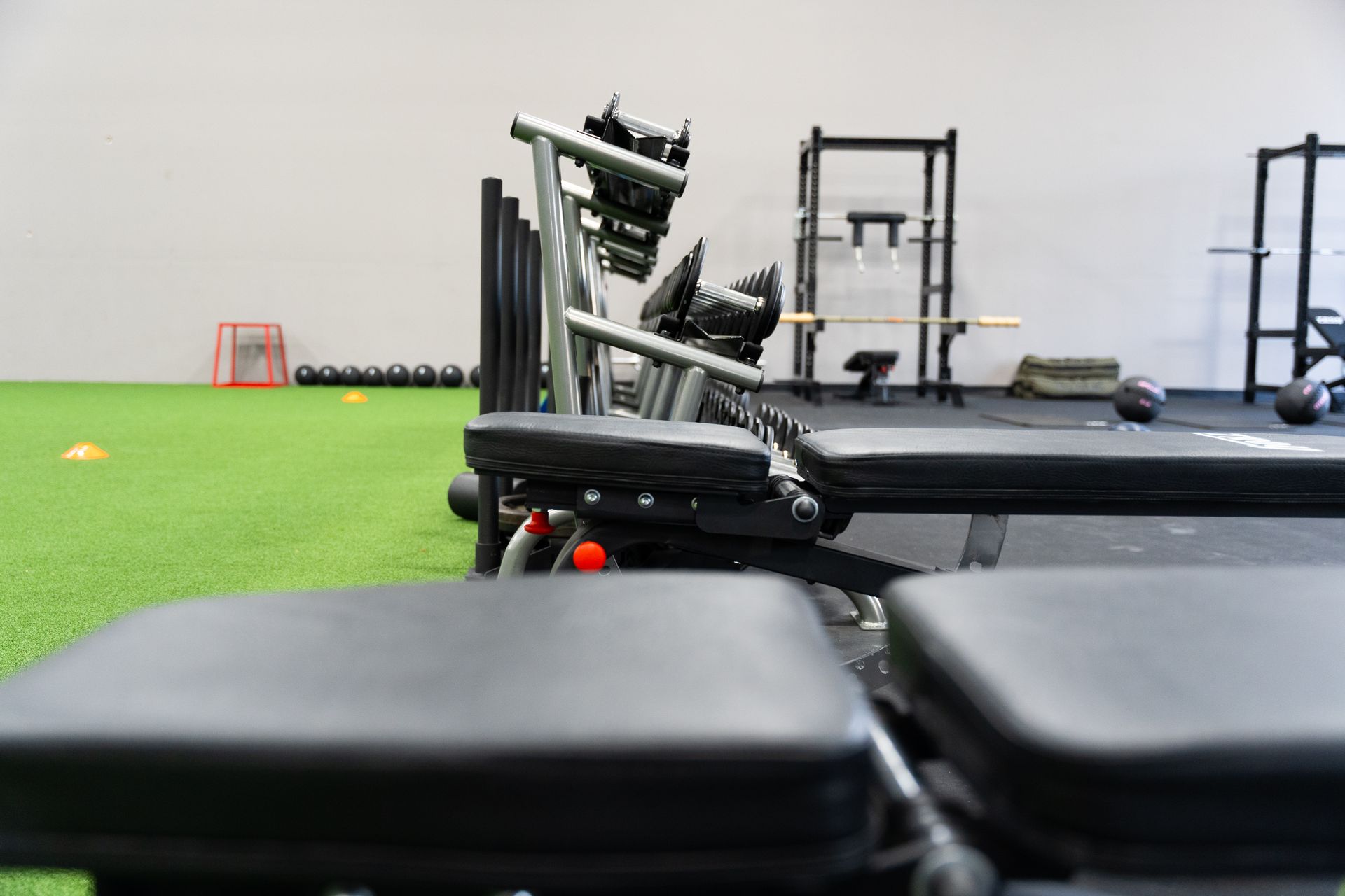 Strength & Agility Training