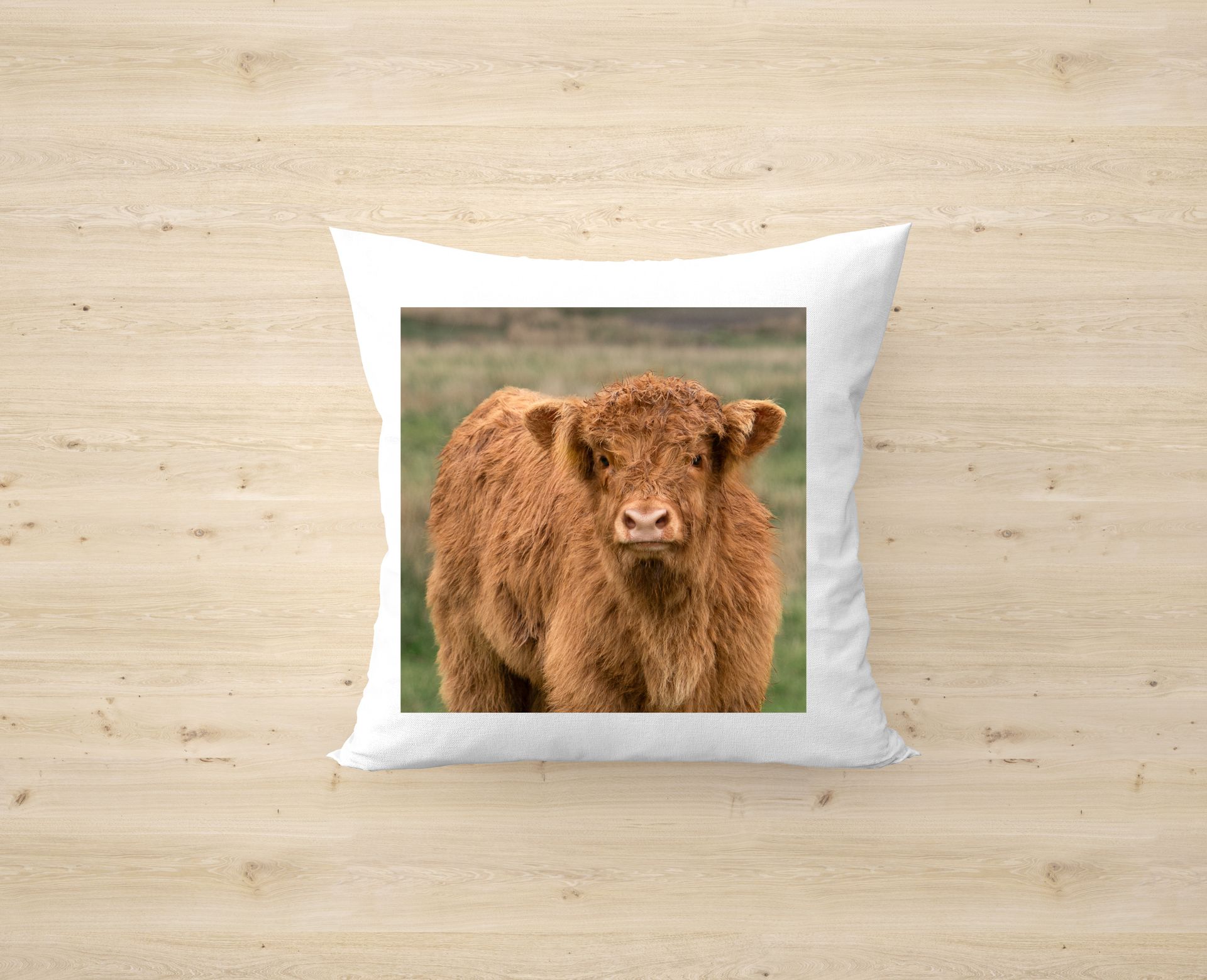 Highland Cow Portrait Cushion
