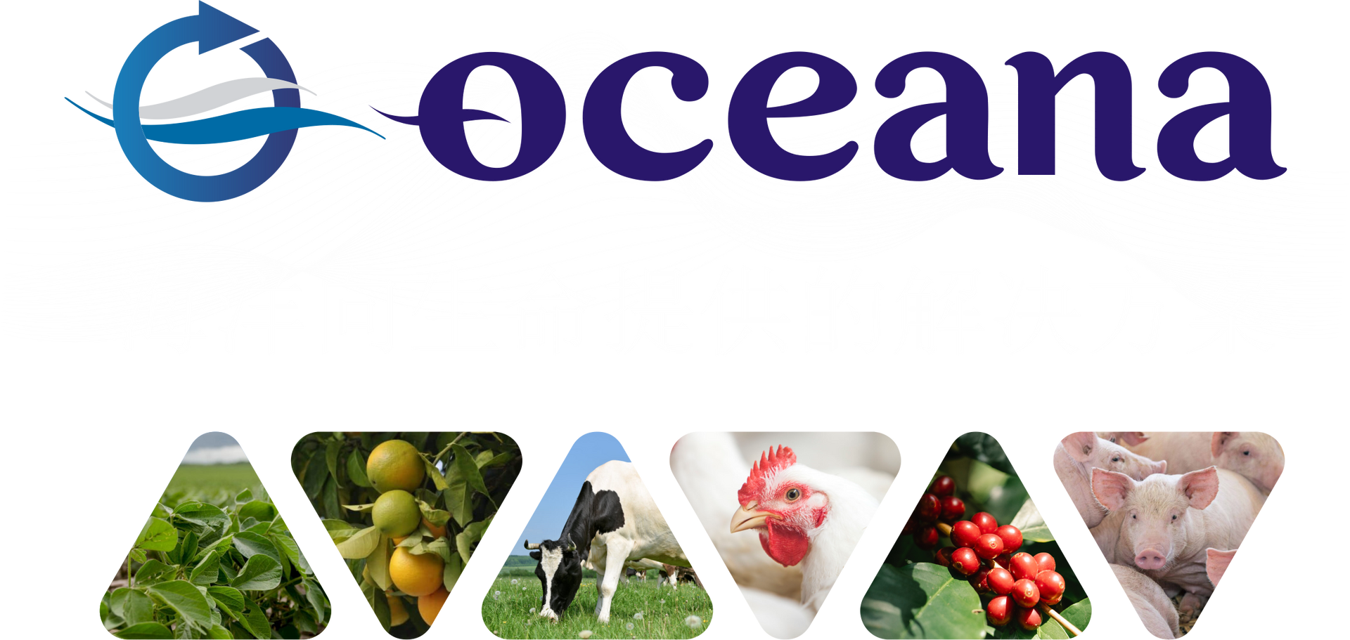 Home [www.oceanaminerals.com]