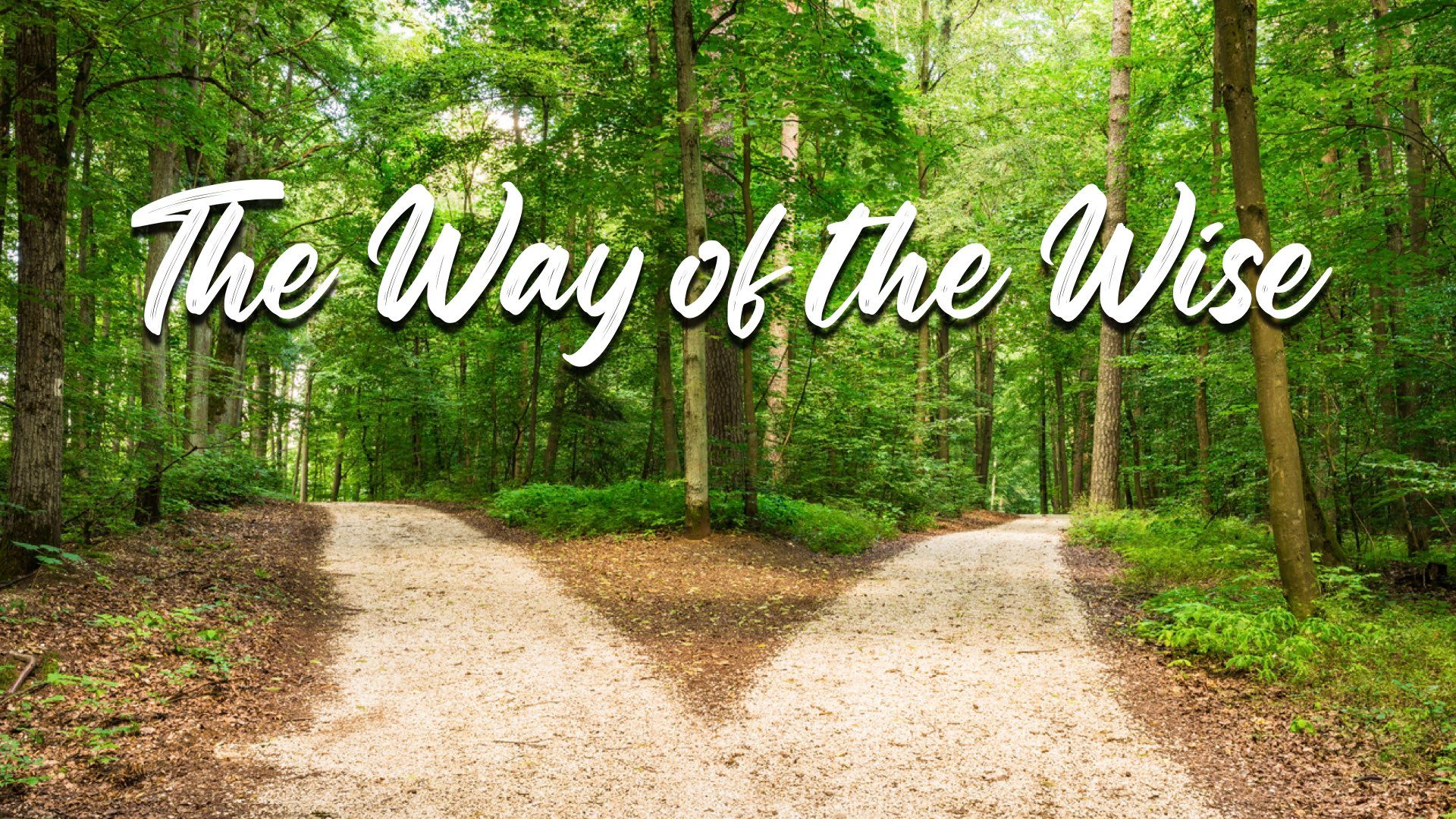 Church in Bogart, GA | Grace Fellowship Church